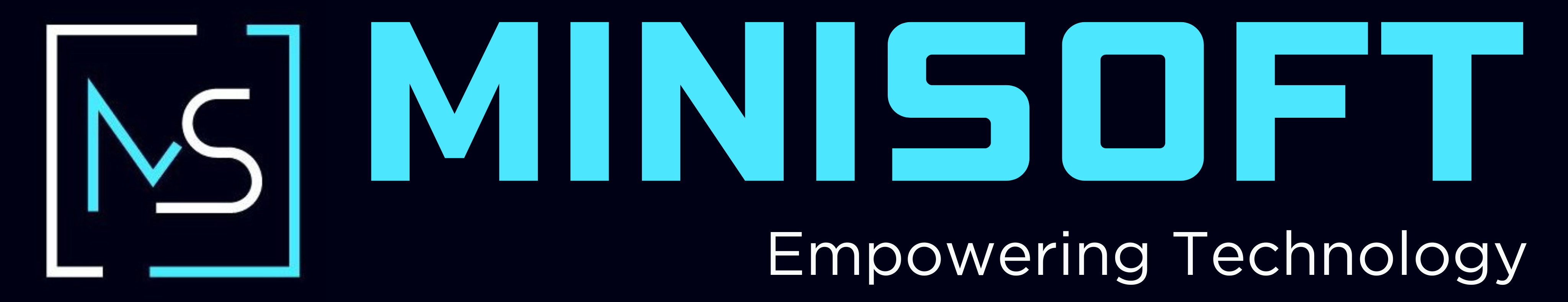 IT & Healthcare Consulting Services - Minisoft Technologies